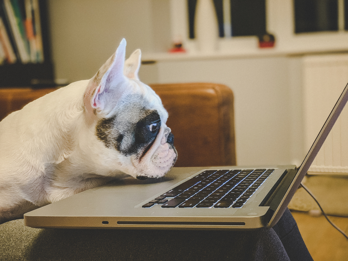 Video is King: How to Elevate Your Social Advertising Strategy